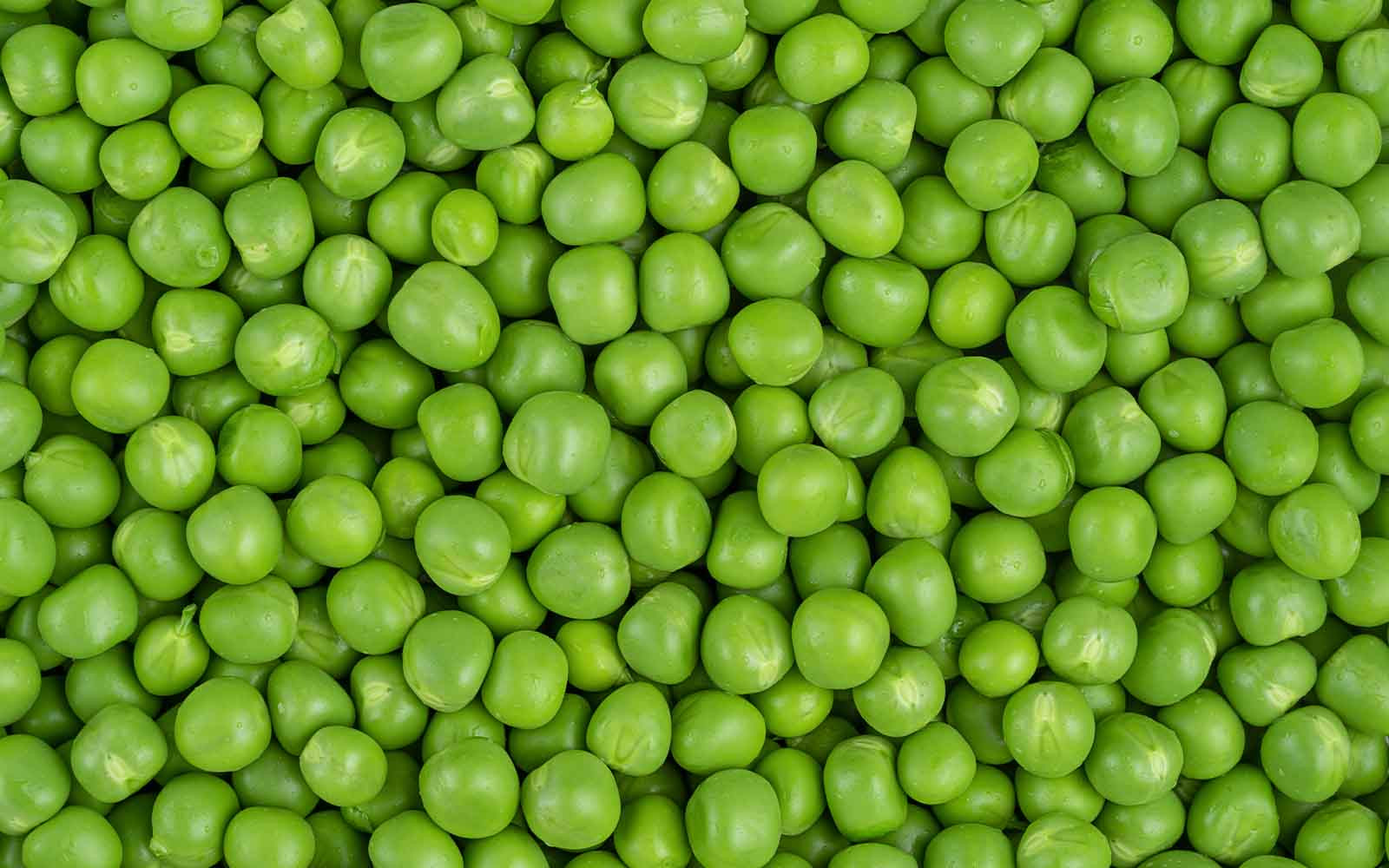 Versinspiratie - Boeren roepen op tot buitengewone biologische boost Versinspiratie - Boeren roepen op tot buitengewone biologische boost